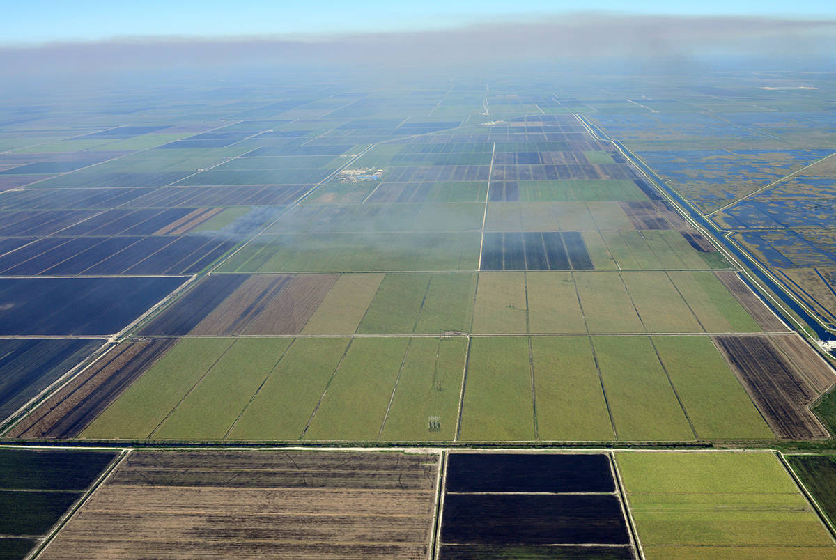 Stormwater Treatment Area (STA-1W) Expansion - I Build America